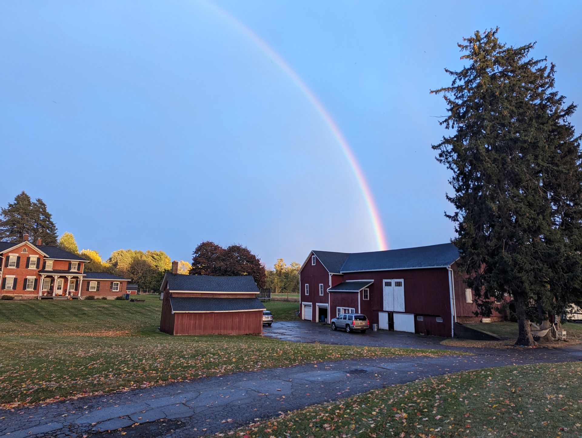 Farm Camp 2025 (Week 2) | Bowen Family Farm